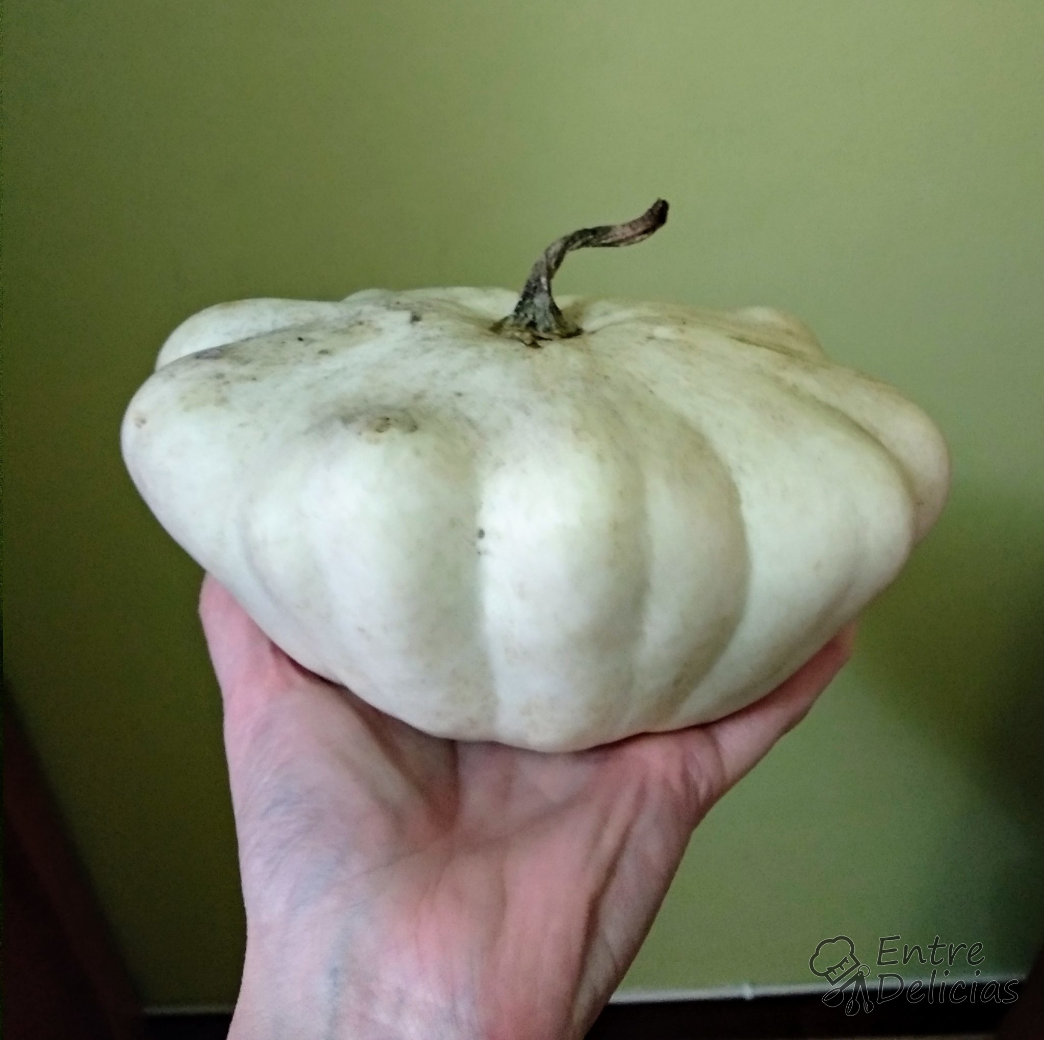 CALABAZA PATISSON O BONETERA RELLENA DE BOLOÑESA Mambo - Entre Delicias